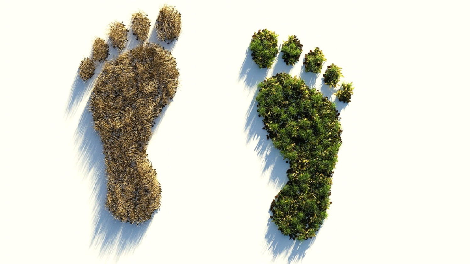 Climate change and our carbon footprint: a PR ploy by oil and gas ...